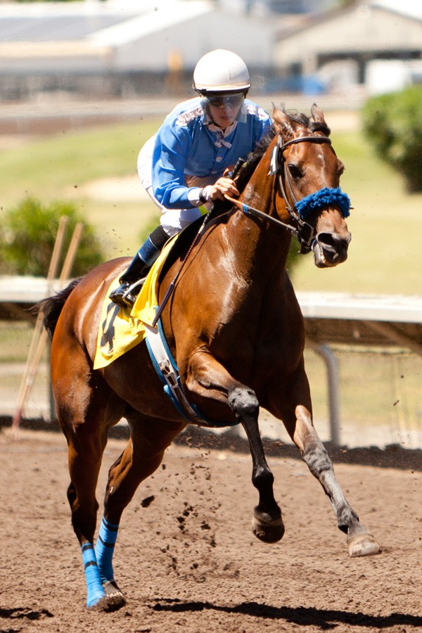 Kayla Stra's Long-Shot Bet | East Bay Express | Oakland, Berkeley & Alameda