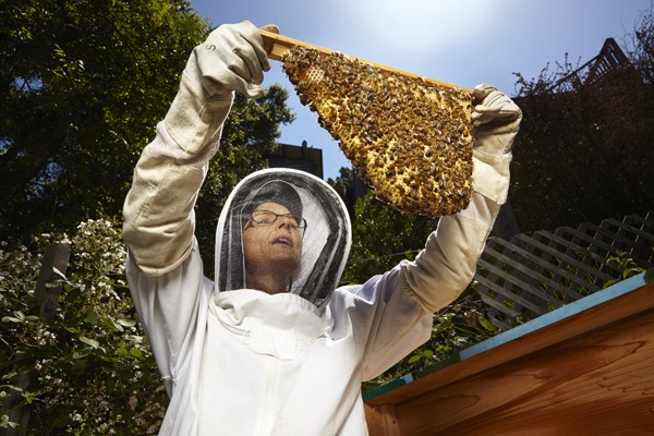 Environmental Groups Sue California Over Approval of Pesticides ...