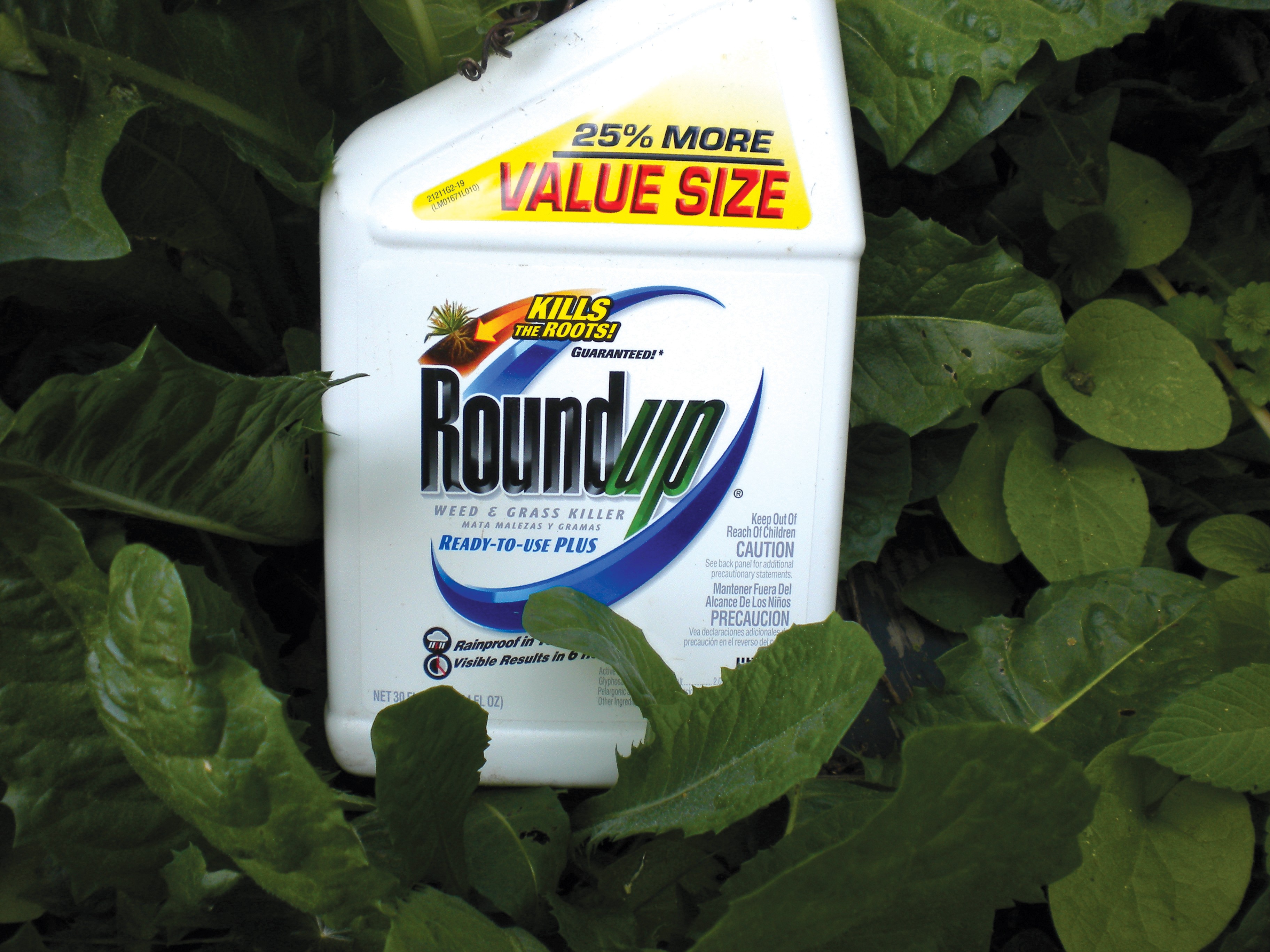 The Case for Banning Monsanto's Roundup | East Bay Express | Oakland ...