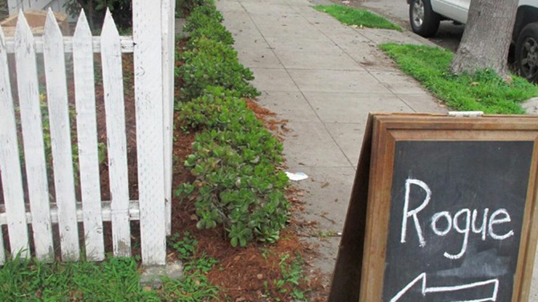 Backyard Brunch: Rogue Café | East Bay Express | Oakland, Berkeley ...