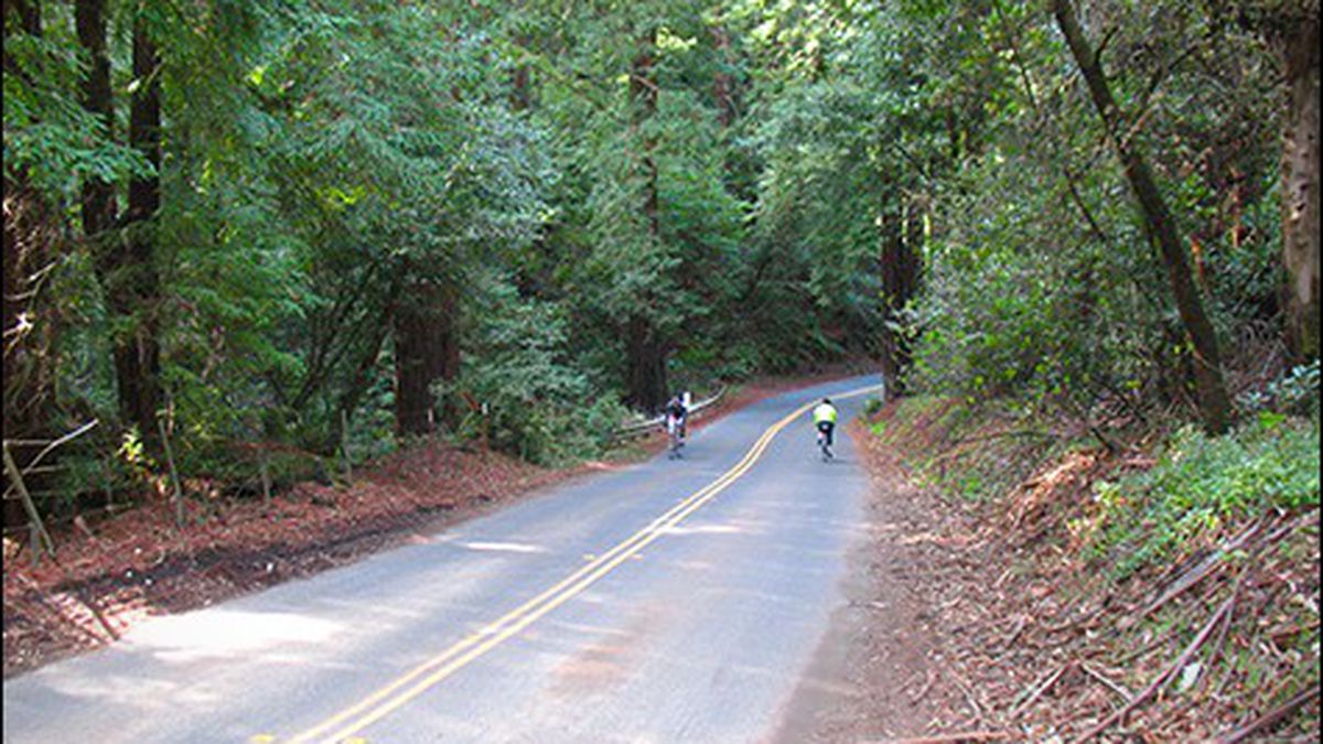 Rolling Through the Backwoods | East Bay Express | Oakland, Berkeley ...