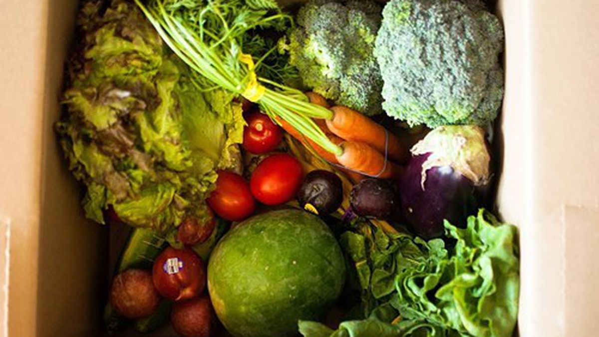 Farm-Fresh Produce for the Campus Set | East Bay Express | Oakland ...