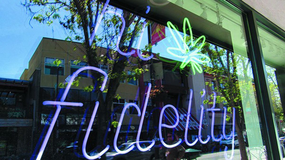 Amoeba Records Opens Its New Berkeley Pot Shop, Hi Fidelity | East Bay ...