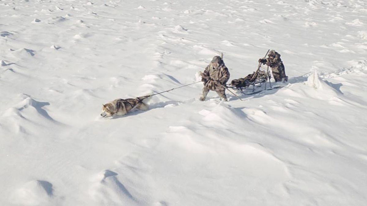 Nanook of Yakutia | East Bay Express | Oakland, Berkeley & Alameda