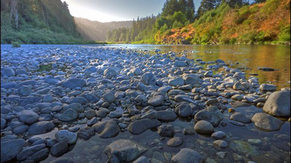 A Wild River in Peril? | East Bay Express | Oakland, Berkeley & Alameda