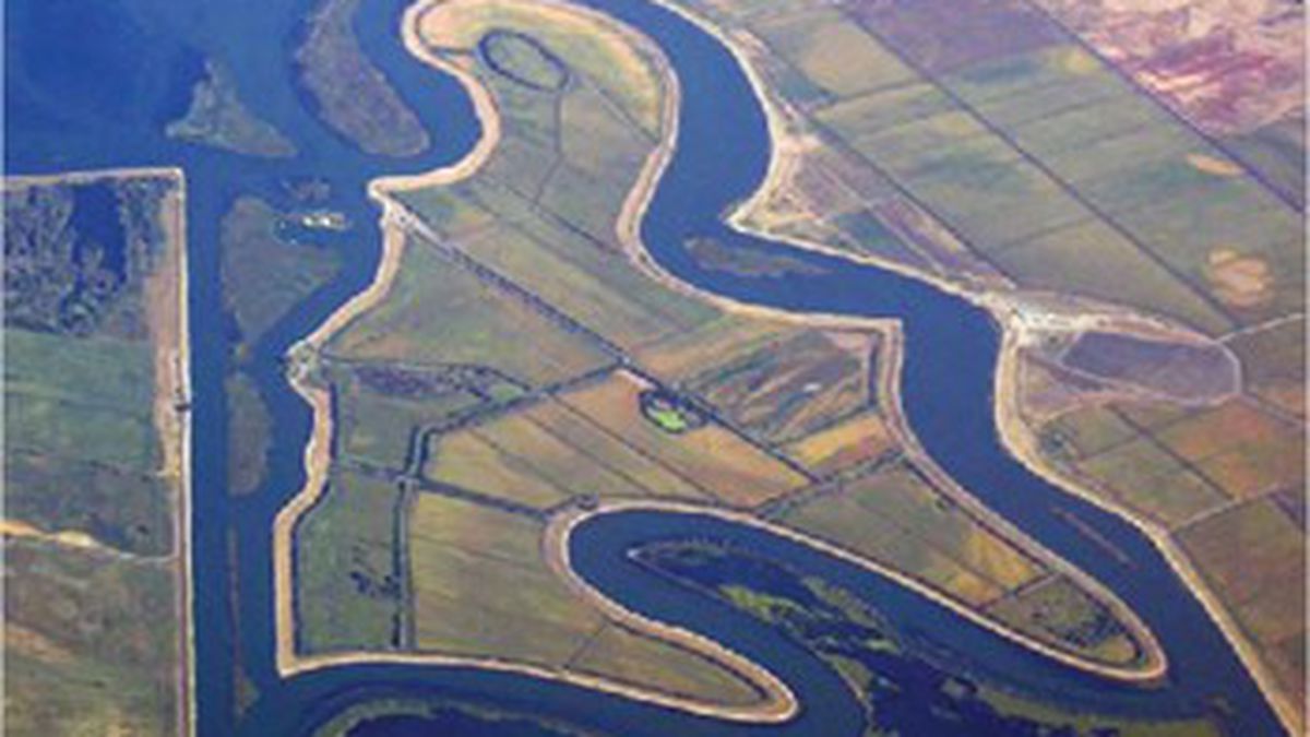 Court Ruling Could Help Delta and Fish | East Bay Express | Oakland ...