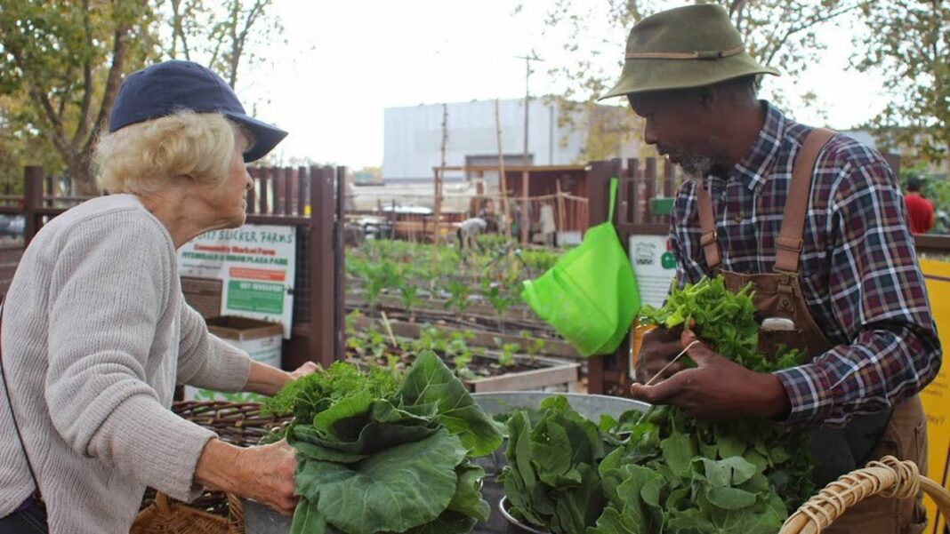 City Slicker Farms and the Perks of Being a Landowner | East Bay ...