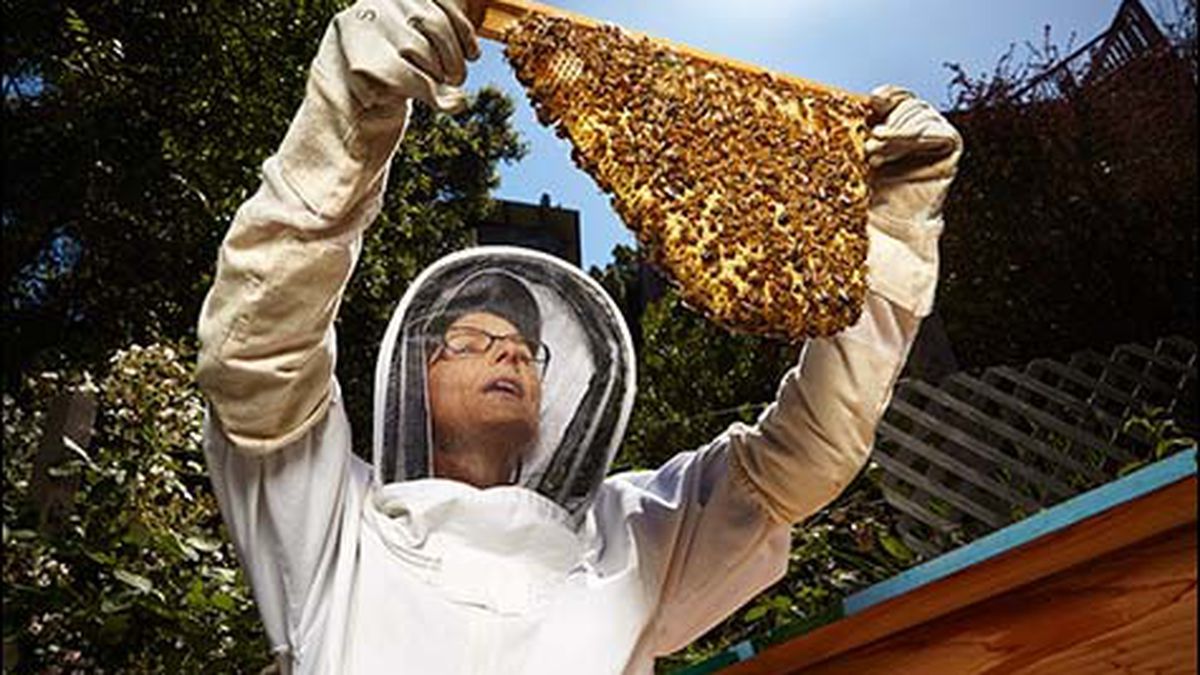 What's Poisoning the Bees | East Bay Express | Oakland, Berkeley & Alameda