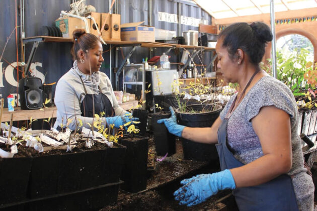 Planting Justice: Sobrante Park neighbors work together | East Bay ...