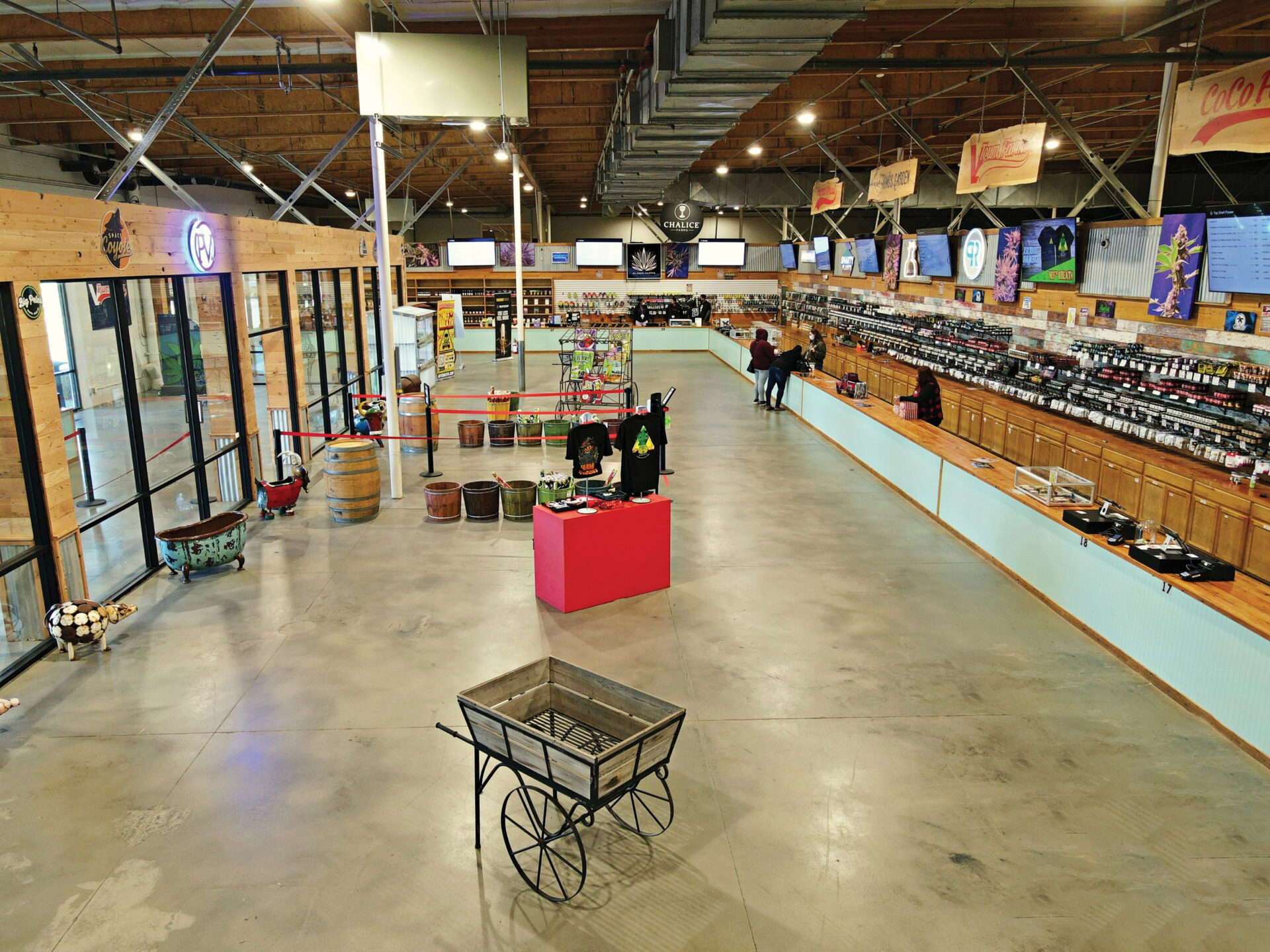 Growth Spurt: Family run CoCo Farms eyes California expansion | East ...