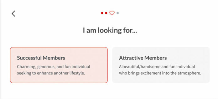Seeking Reviews—A Closer Look at Seeking.com for Dating in 2024