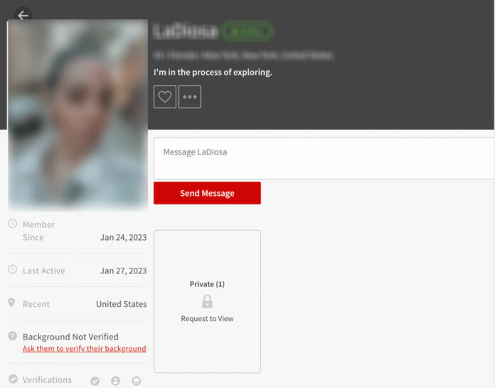 Seeking Reviews—A Closer Look at Seeking.com for Dating in 2024