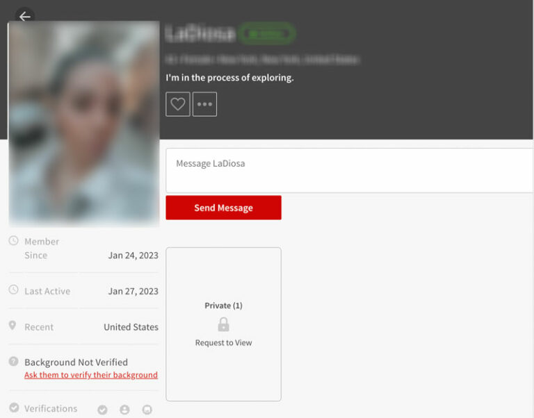 Seeking Reviews—A Closer Look at Seeking.com for Dating in 2024