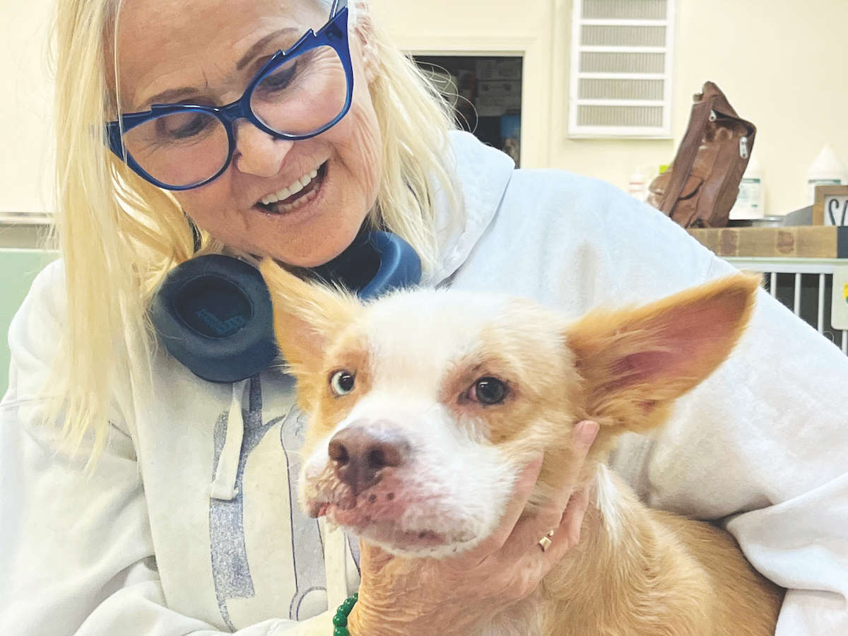 Who’s Rescuing Whom?